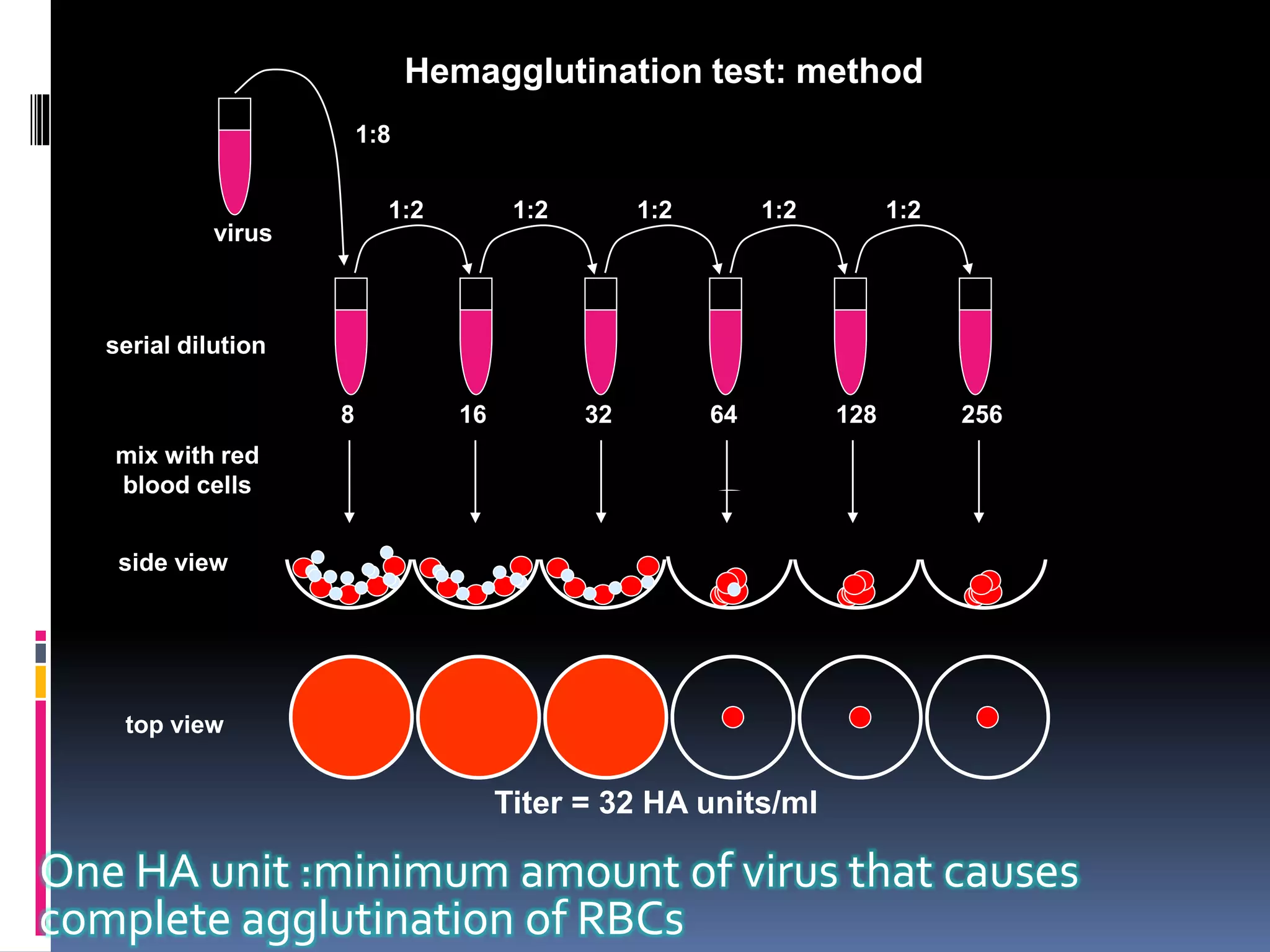 Agglutination reactions | PPTX