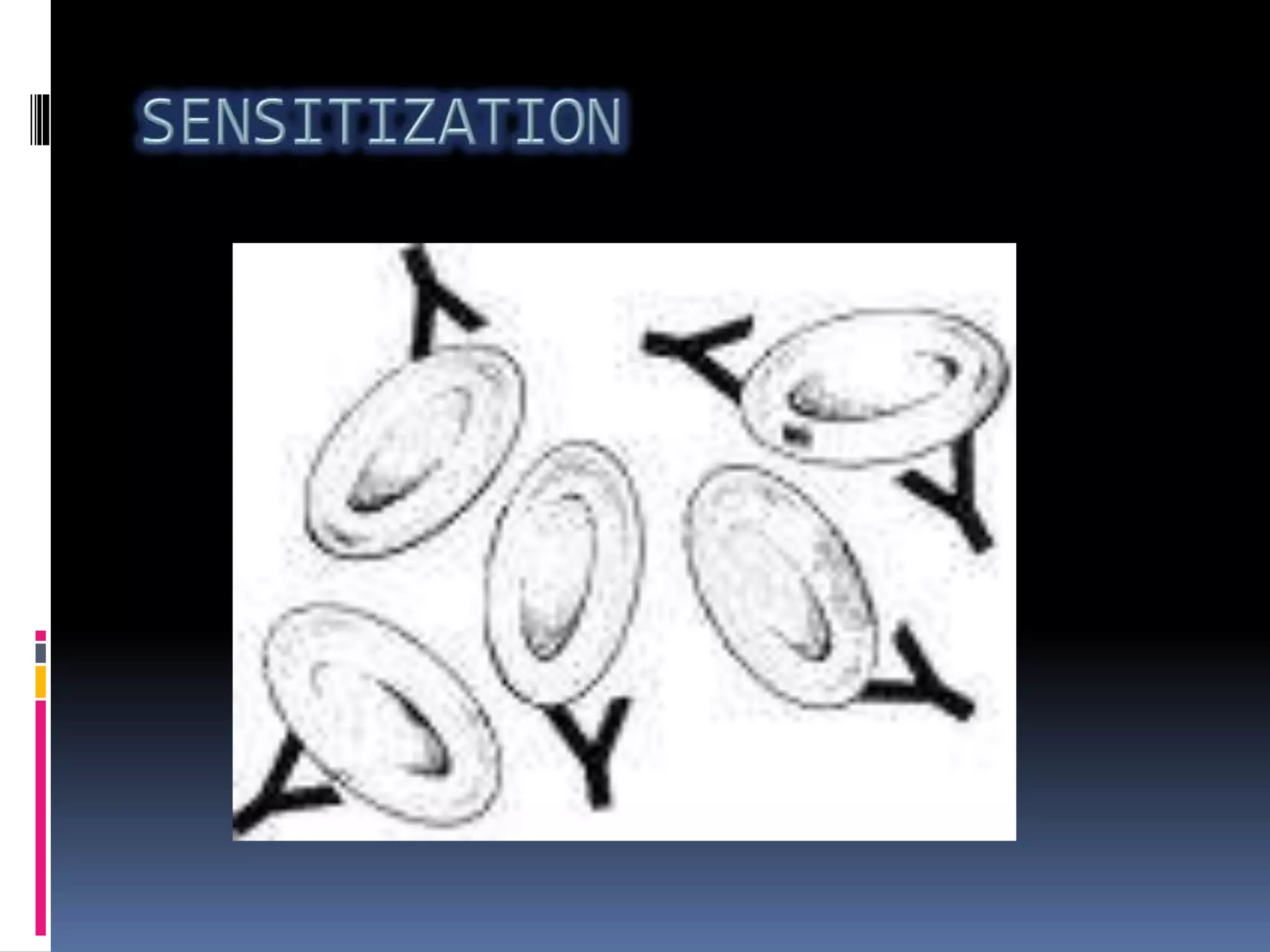 Agglutination reactions | PPTX