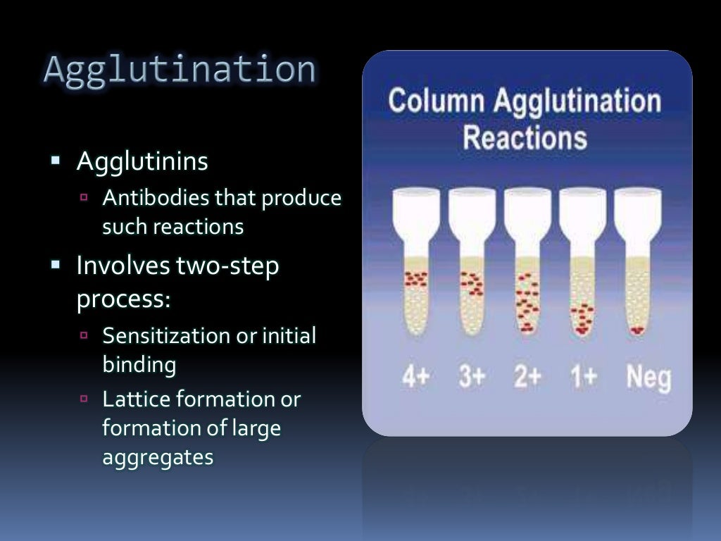 Agglutination reactions