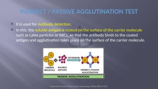 Agglutination reactions: Types, Examples, Advantages, disadvantages ...
