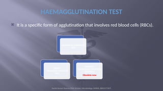 Agglutination reactions: Types, Examples, Advantages, disadvantages ...