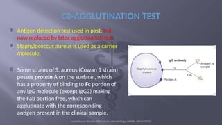 Agglutination reactions: Types, Examples, Advantages, disadvantages ...
