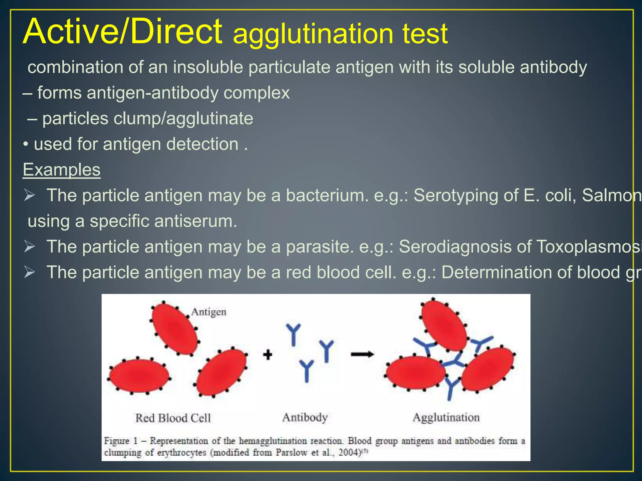 Agglutination test ,antigen antibody reaction | PPTX