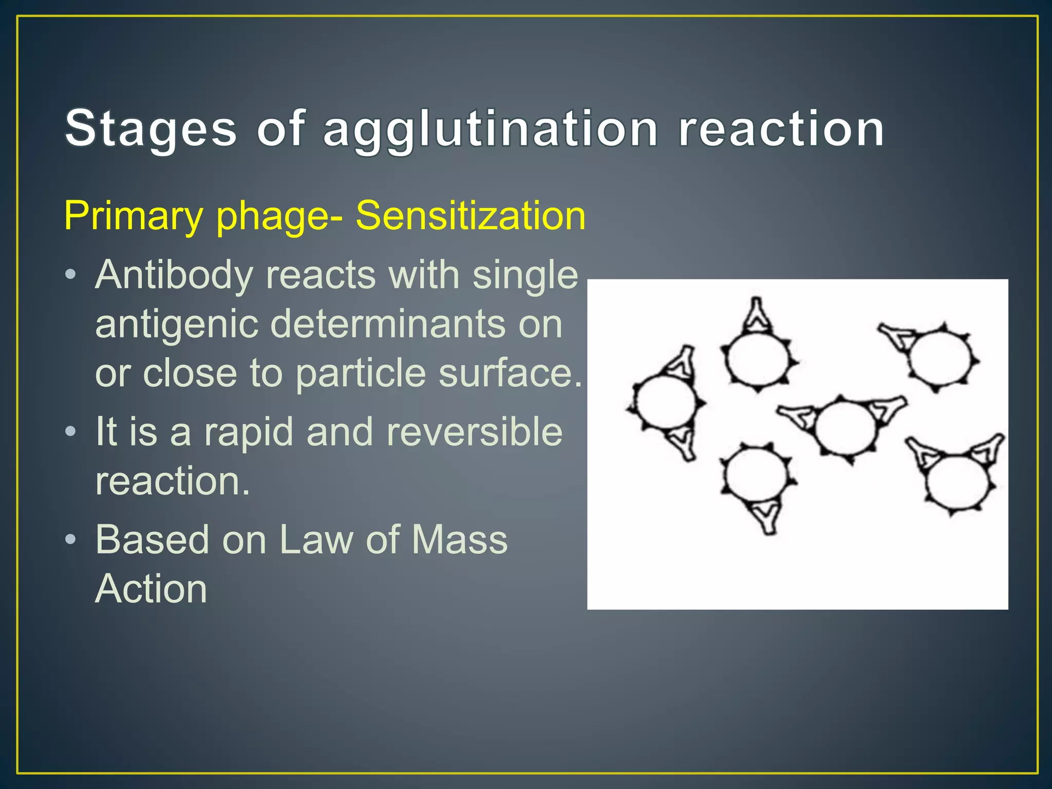 Agglutination test ,antigen antibody reaction | PPTX