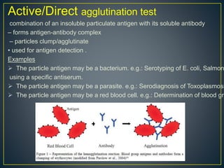 Agglutination test ,antigen antibody reaction | PPTX