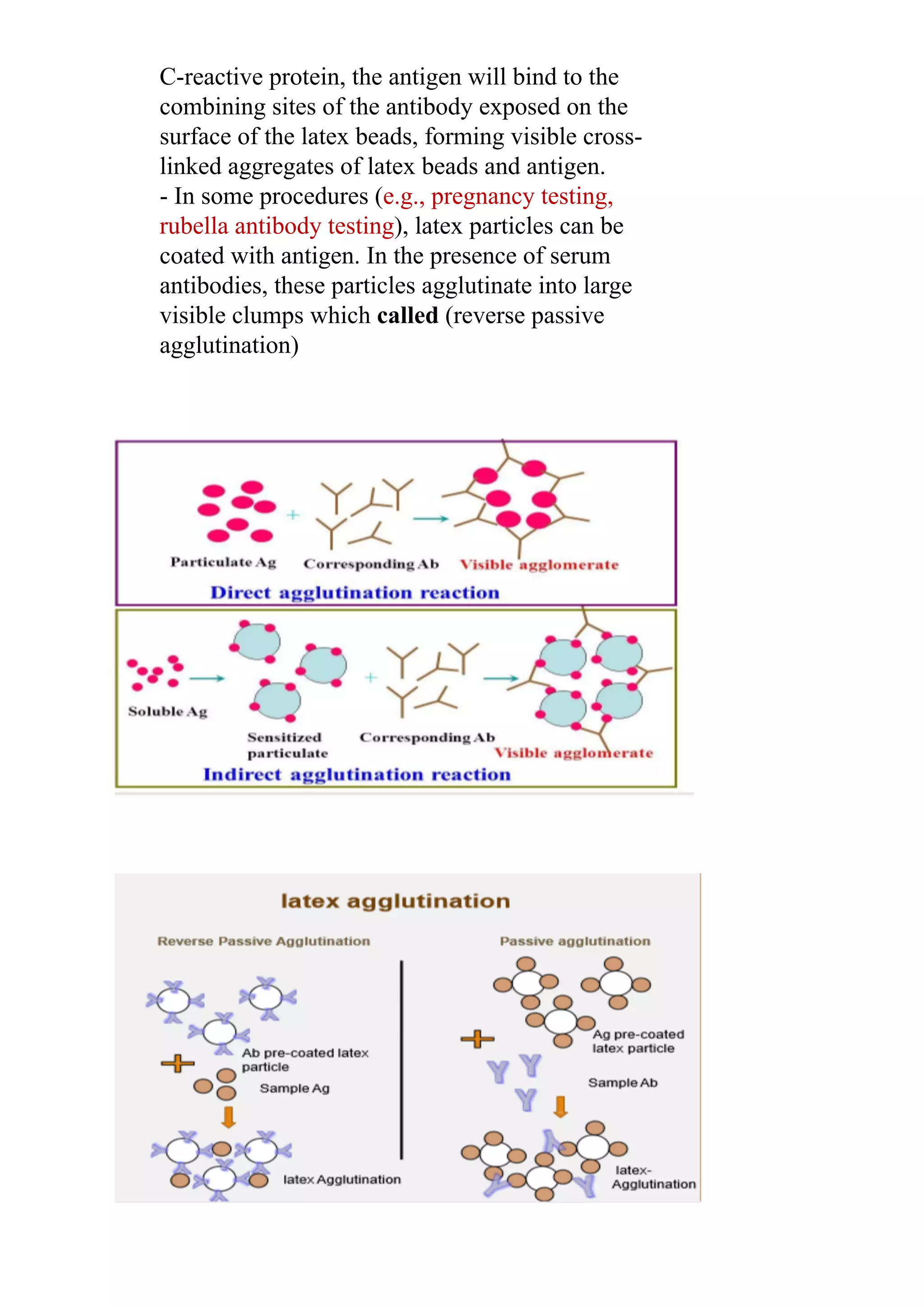 Agglutination test class 5.docx.pdf