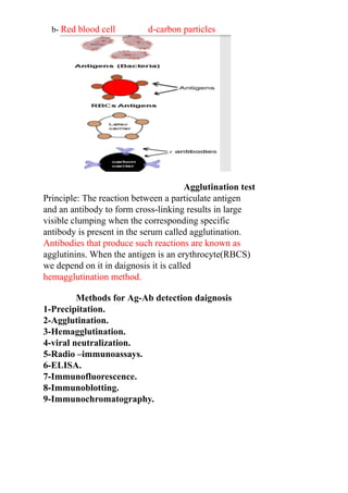 Agglutination test class 5.docx.pdf