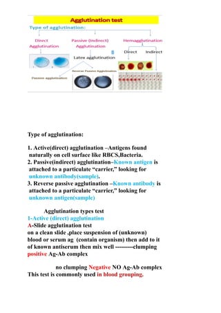Agglutination test class 5.docx.pdf