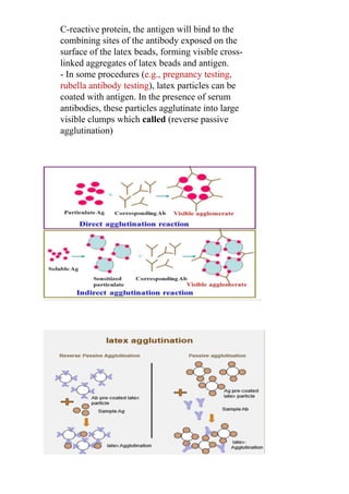Agglutination test class 5.docx.pdf
