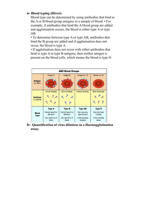 Agglutination test class 5.docx.pdf