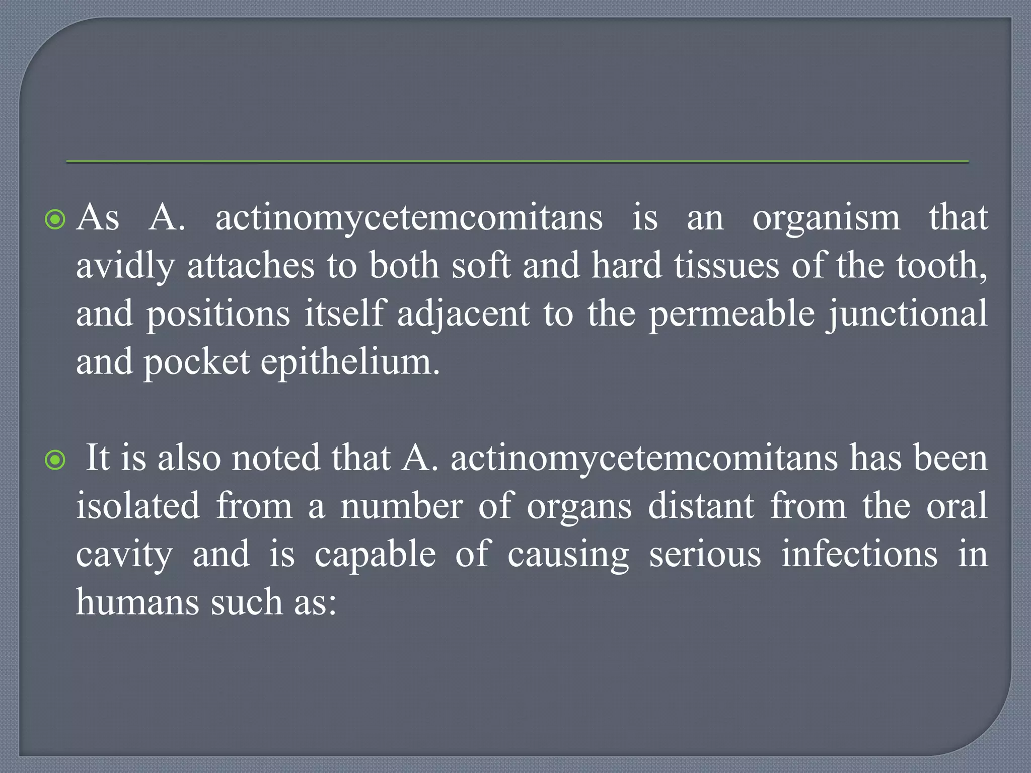 Aggregatibacter actinomycetemcomitans | PPTX | Dental Health | Diseases ...