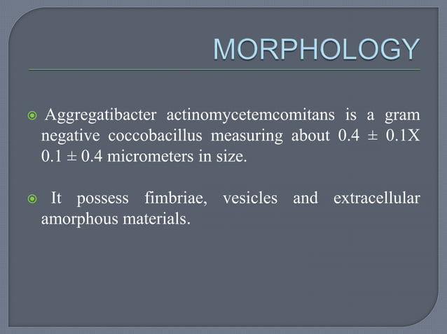 Aggregatibacter actinomycetemcomitans | PPTX | Dental Health | Diseases ...