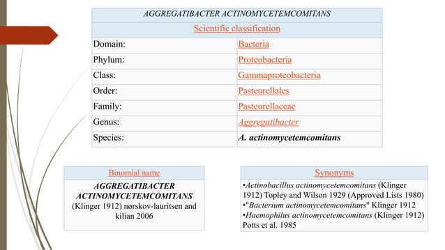 Aggregatibacter actinomycetemcomitans.pptx