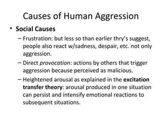 Human Aggression