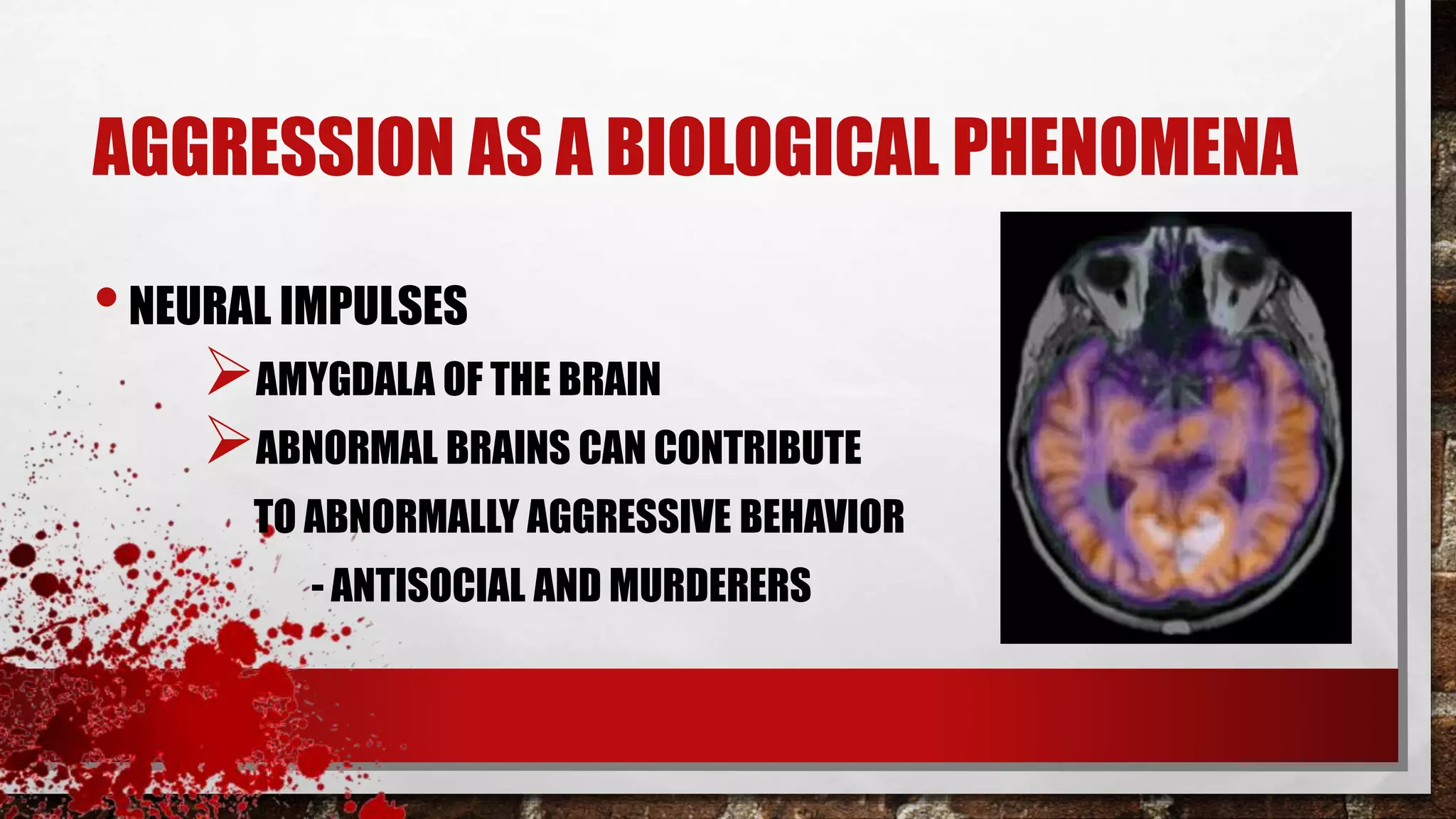 Aggression - Social Psychology | PPTX