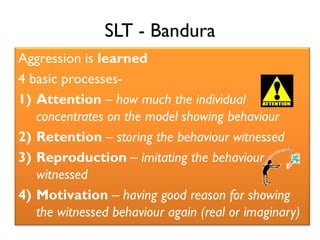 Aggression slt and deindividuation | PDF