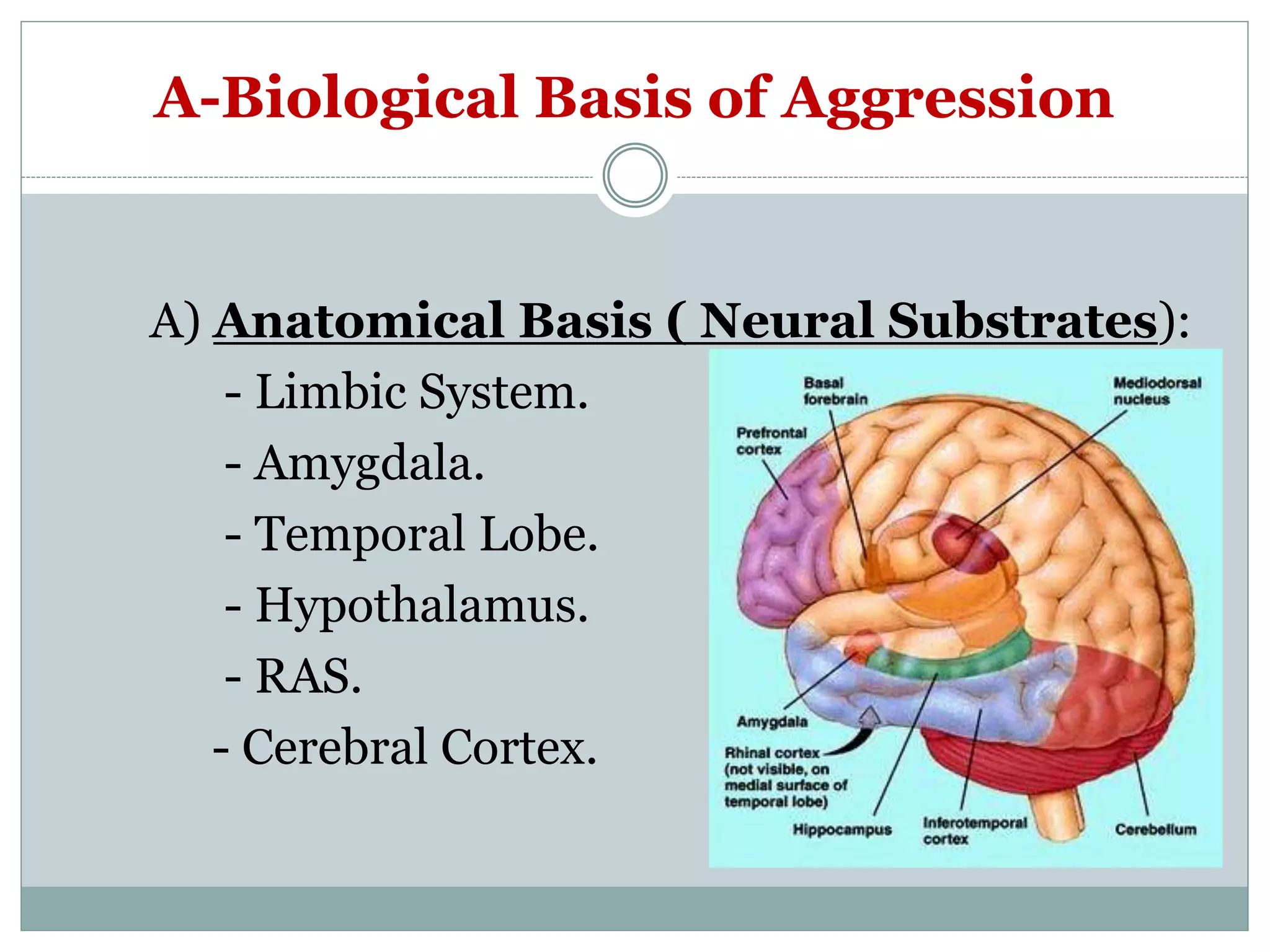 psychology of Aggression .ppt