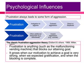 Aggression and Hurting (Social Psychology) | PPTX