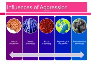 Aggression and Hurting (Social Psychology) | PPTX