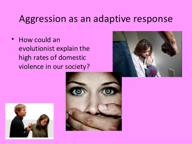 Evolutionary explanations of human aggression A2