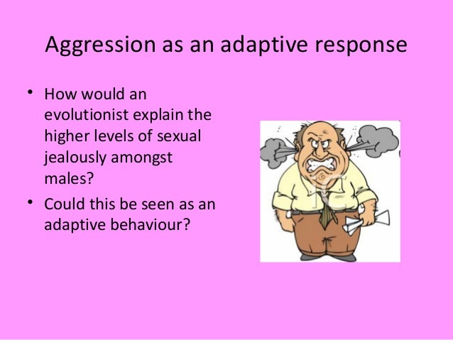Evolutionary explanations of human aggression A2