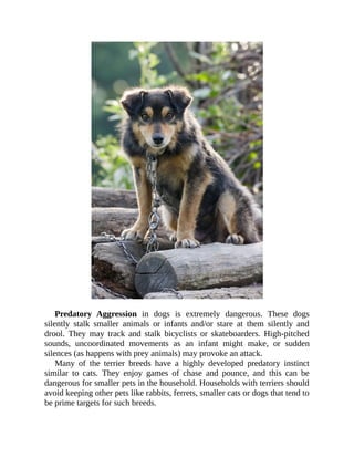 Aggression is the forceful reaction of a dog #dog #dogs or #cat | PDF ...
