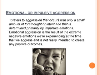 Aggression | PPTX