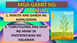 Agham 3 yunit iii aralin 5 pinagmulan at gamit ng liwanag | PPTX