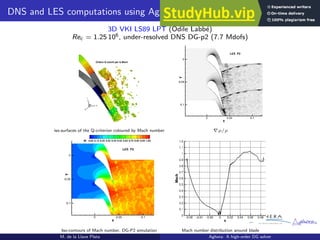 Aghora A High-Order DG Solver for Turbulent Flow Simulations.pdf