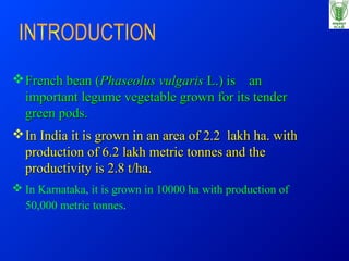 Aghora seed production technology for legume vegetables | PPT