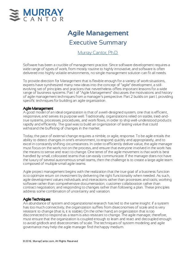 agile-executive-summary