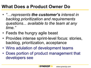 Demystifying Agile Product Management - By Rich Mironov | PDF