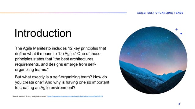 Agile - Self-Organizing Teams.pptx