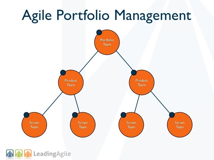 Agile Program and Portfolio Management