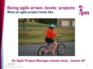 Creating an Agile assurance landscape for projects, Adrian Pyne | PPT
