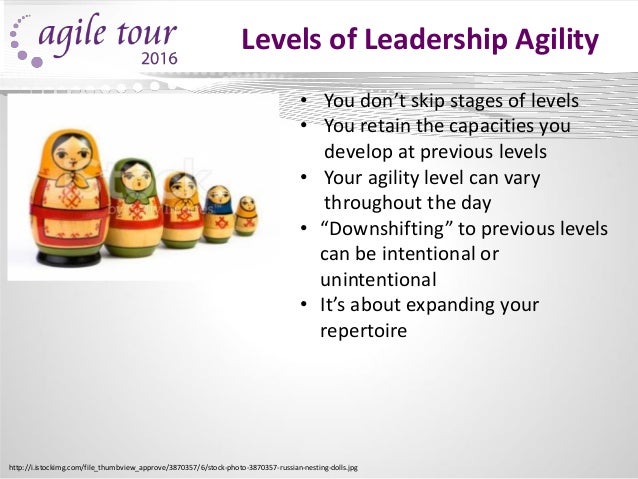 Agile and Leadership Agility