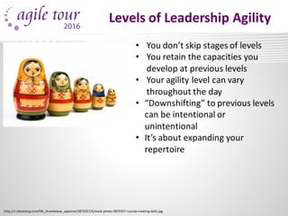 Agile Tour 2016 Chennai -Agile and leadership agility by Srinath ...