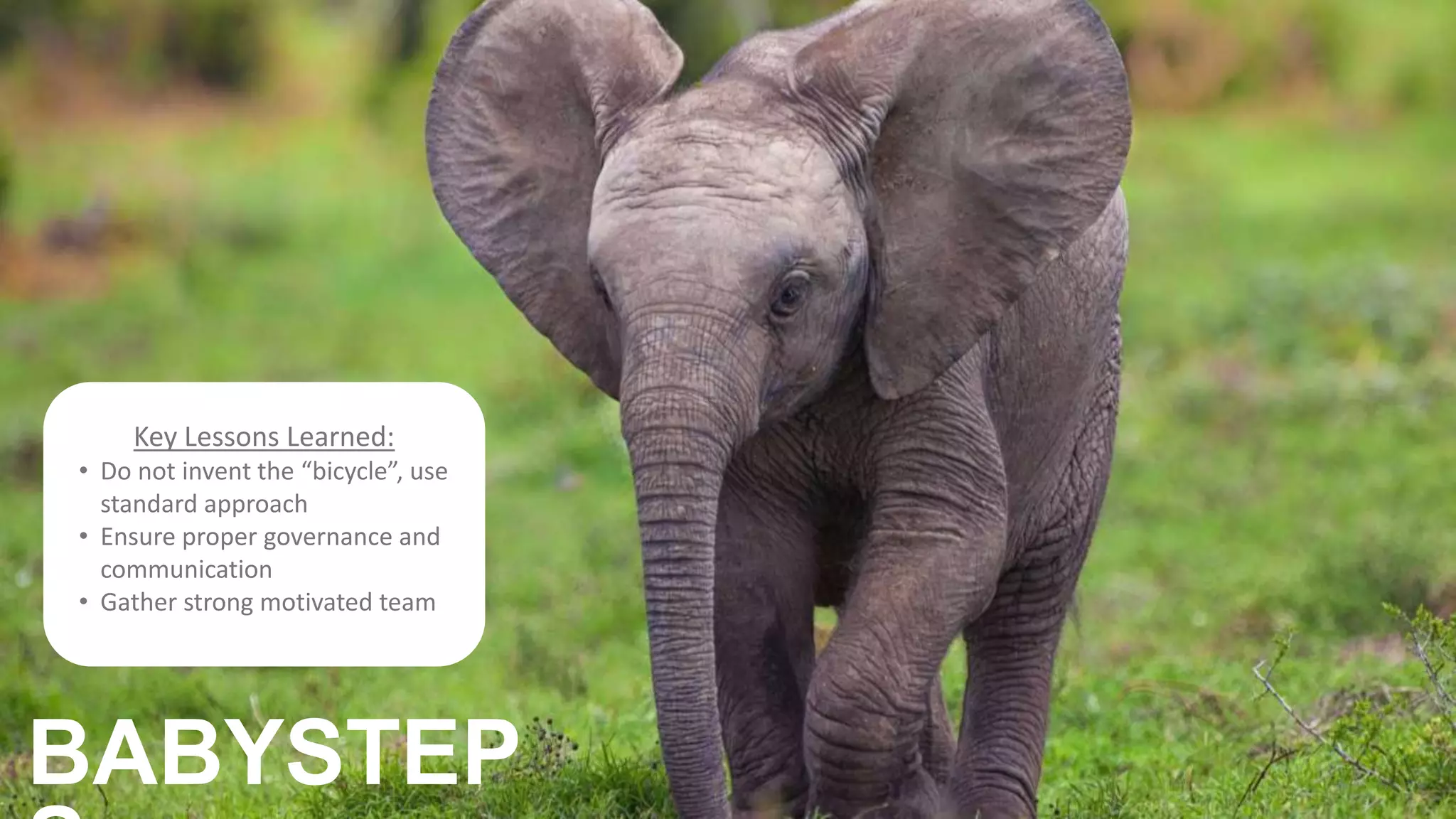 Agile dideliu mastu. Telia. "Eating elephant in pieces arba Telia ...