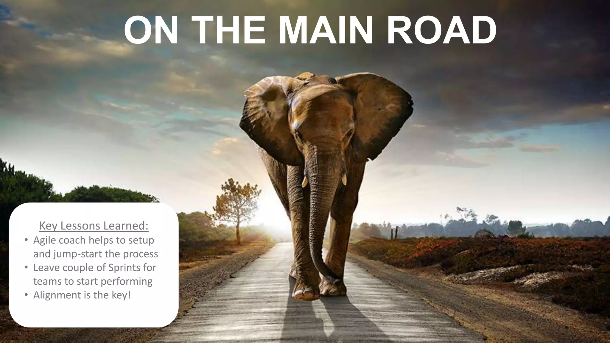 Agile dideliu mastu. Telia. "Eating elephant in pieces arba Telia ...