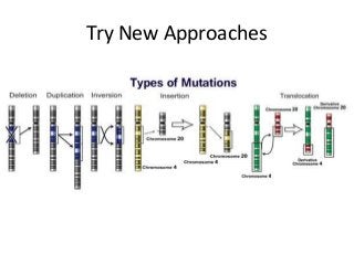 Biological Metaphors for Agile Organizations | PPT
