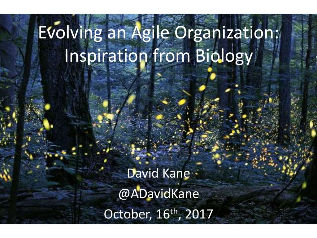Biological Metaphors for Agile Organizations | PPT