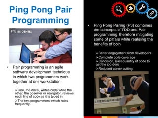 Enter the mind of an Agile Developer | PPT