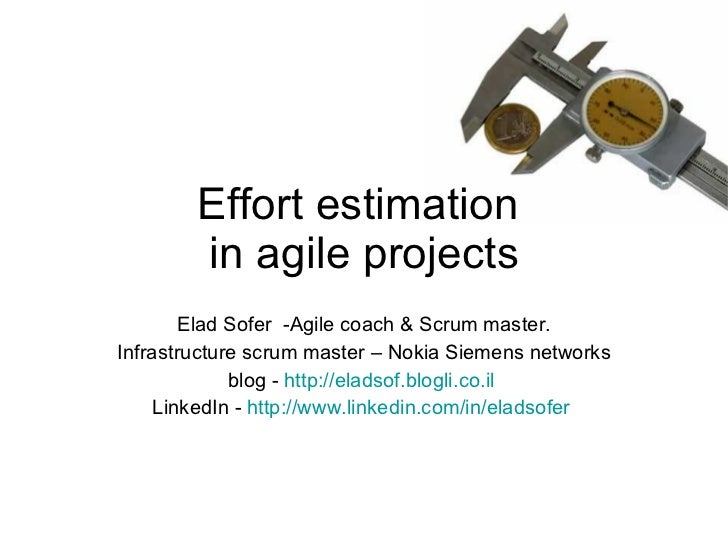 Agile Effort Estimation