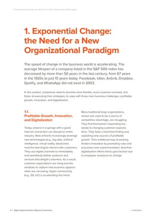 Agile Implementation Beyond Cosmetics | PDF