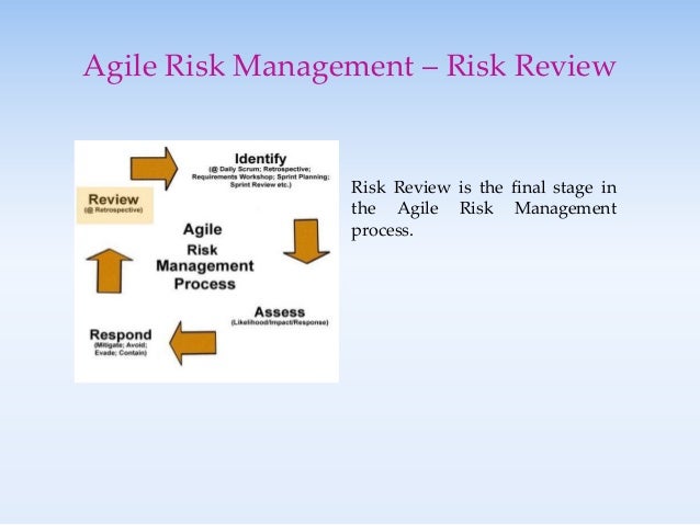 Agile issue and risk management sunny1