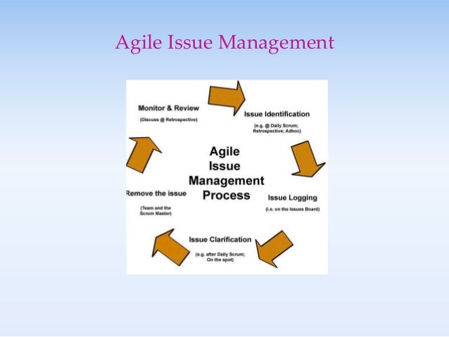 Agile issue and risk management sunny1