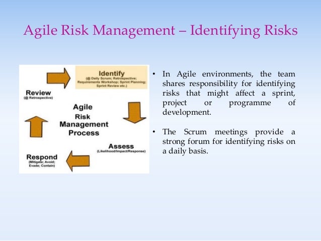 Agile issue and risk management sunny1