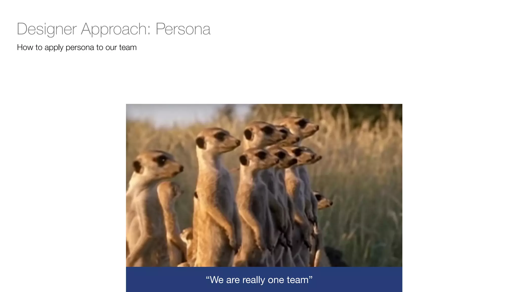 Samsung's Agile & Lean UX Journey by Jaesung Jo | PPT