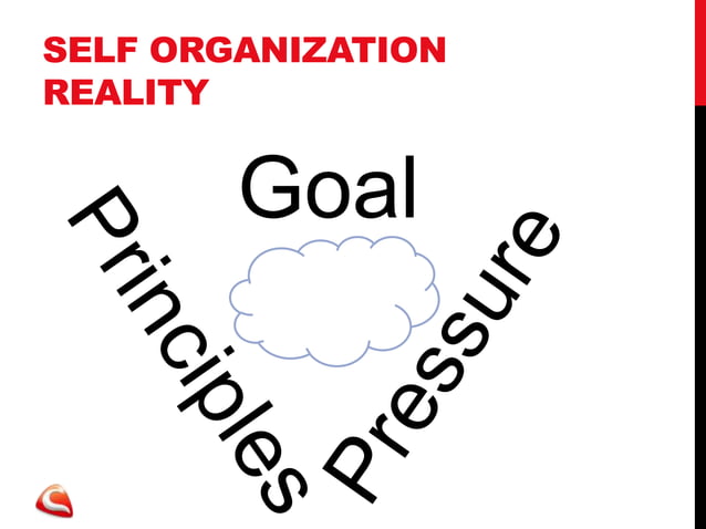 Agile managers | PPTX | Business | Business and Finance