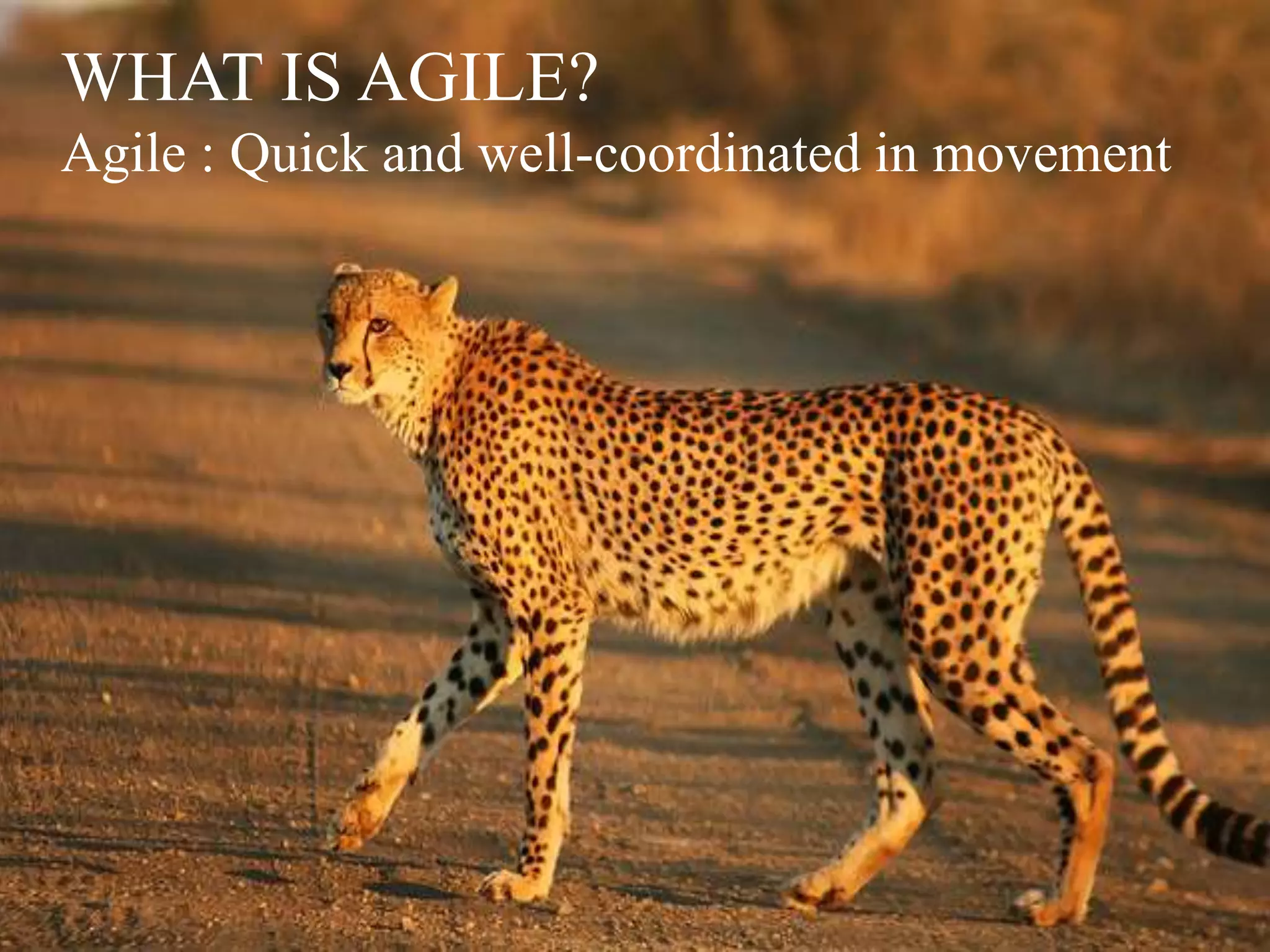 Agile Methodologies And Scrum Pptx